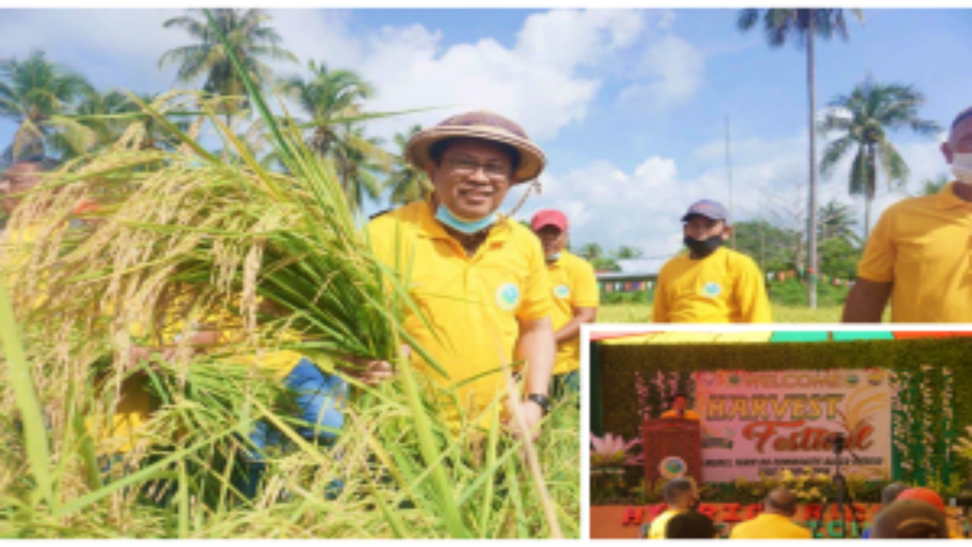 Harvest Festival Showcases Hybrid Rice Production Technology | PAGEONE