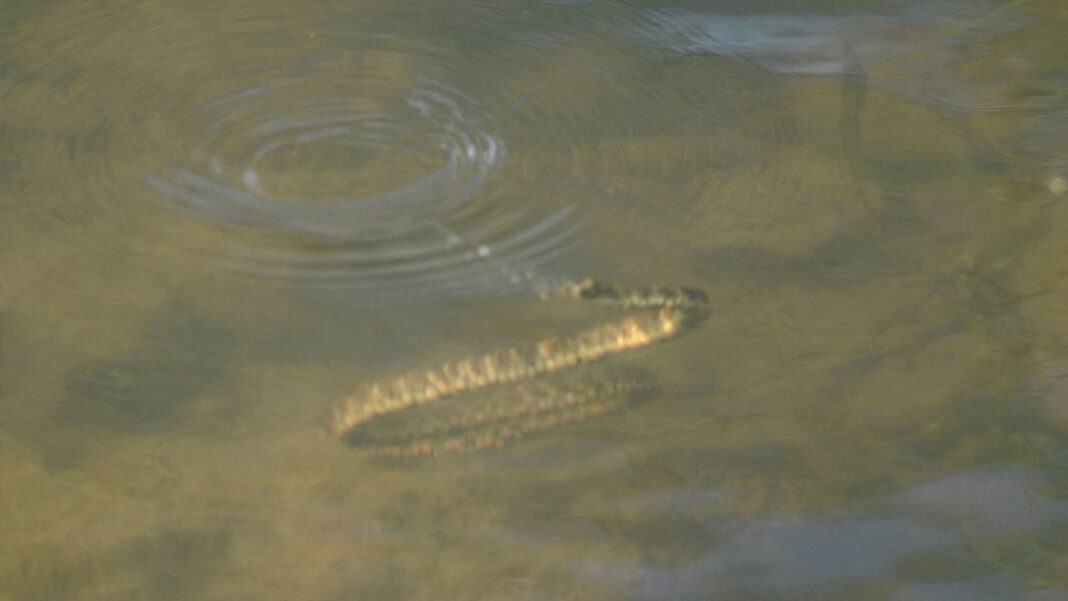 The Day After… 10 Things To Do After A Typhoon | PAGEONE