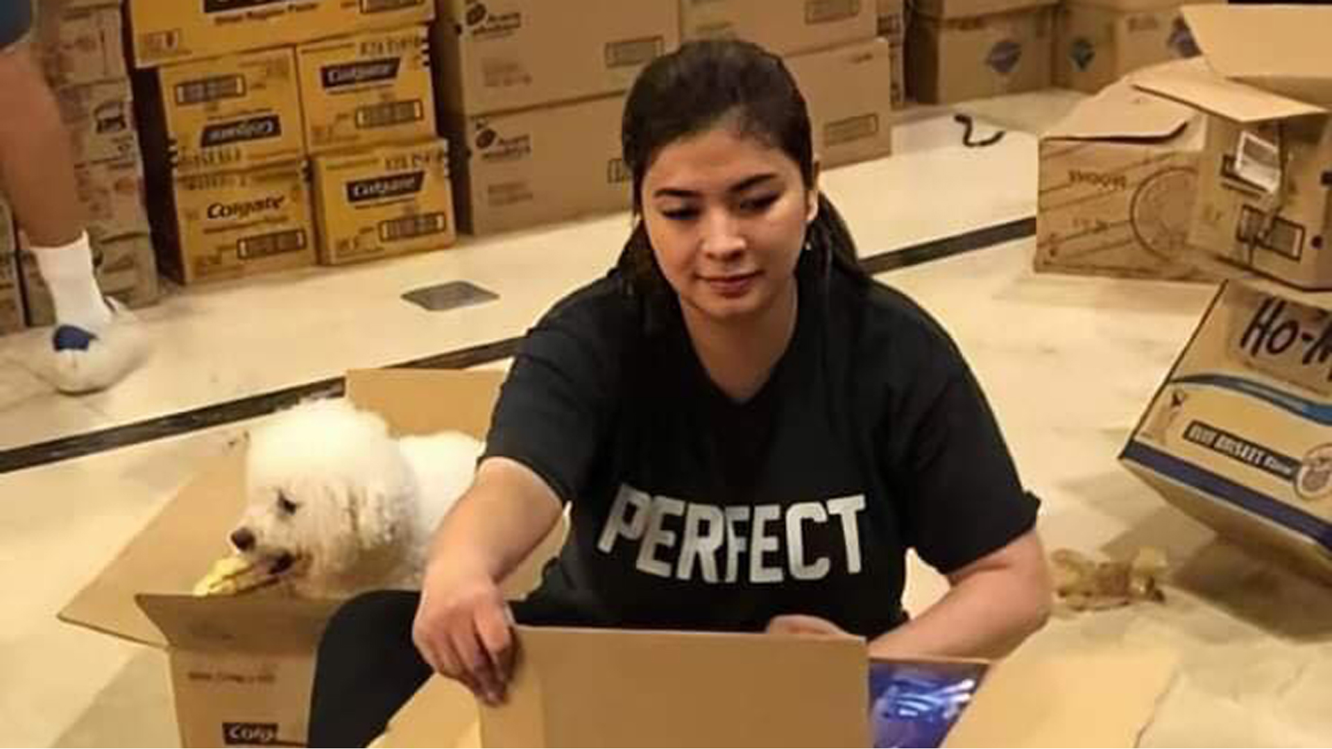 ‘Rolly’ Sparks Bayanihan Among Filipinos To Help More Victims | PAGEONE