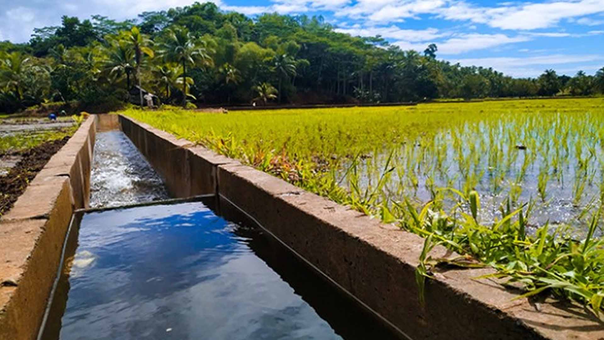 Quezon Farmers To Get Irrigation System From Japan | PAGEONE