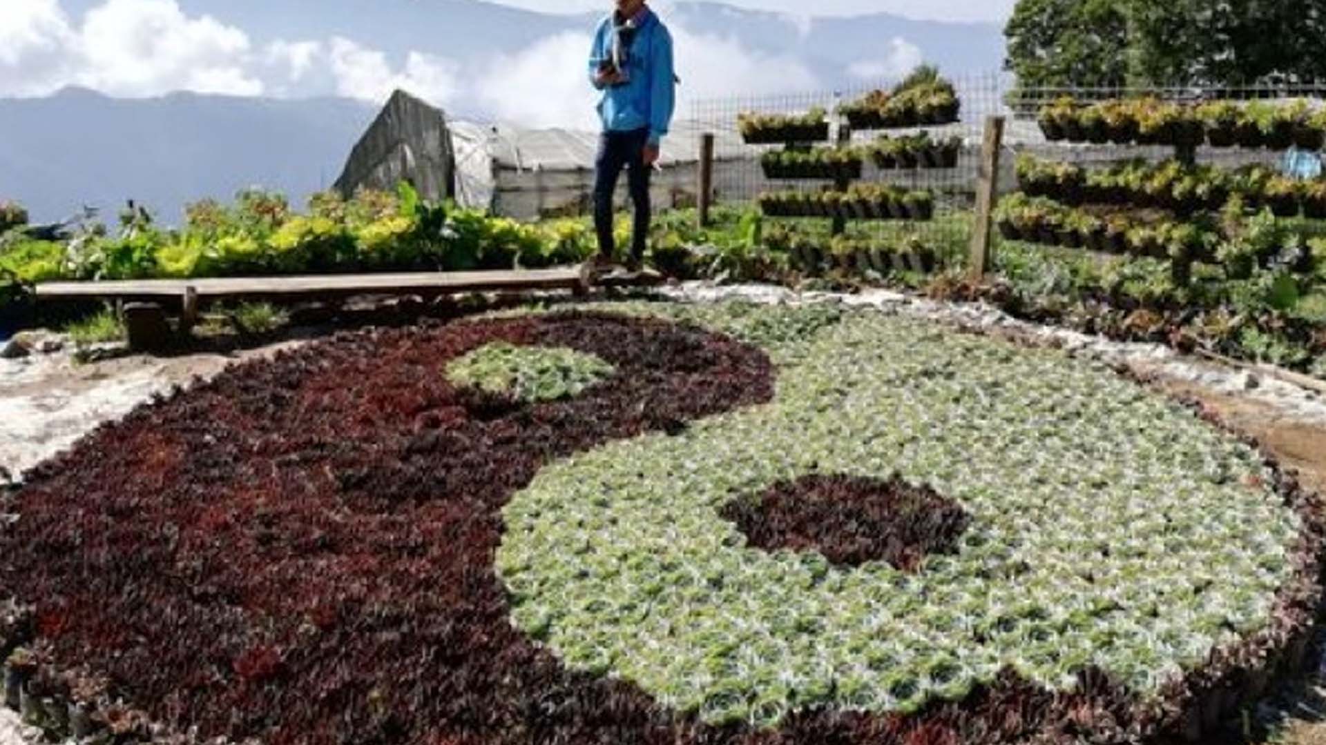 Benguet Destinations Still Exclusive To Locals | PAGEONE