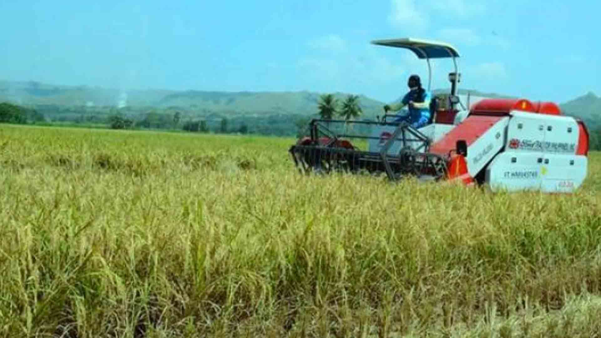 Gov’t Reskills Kalinga Rice Farmers To Boost Yield | PAGEONE