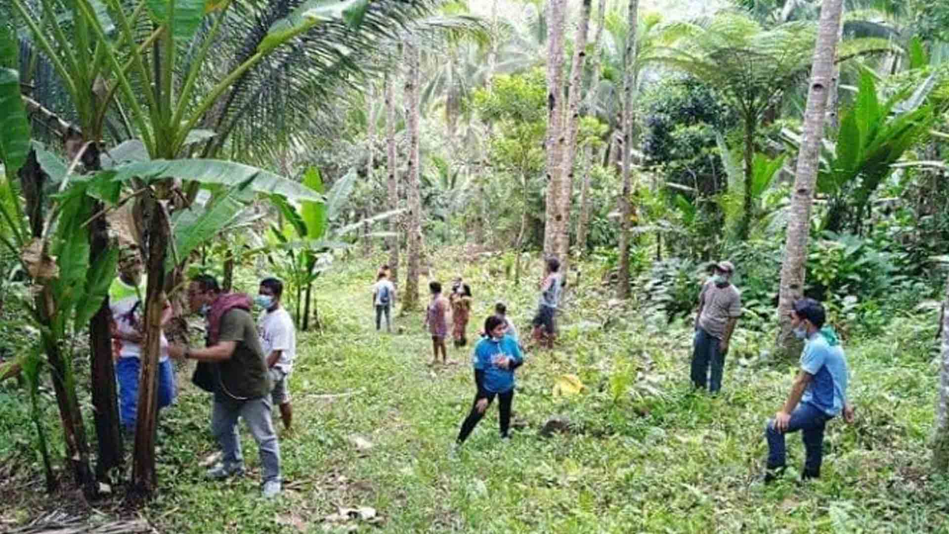 Abaca Can Be Ally Vs. Plastics Pollution, Deforestation | PAGEONE