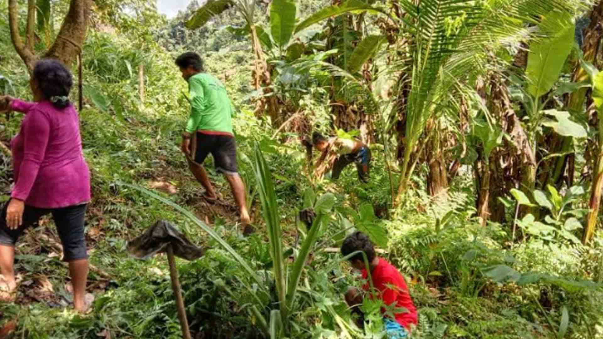 Million Trees Project Nearly Done With Nursery, Learning Center | PAGEONE