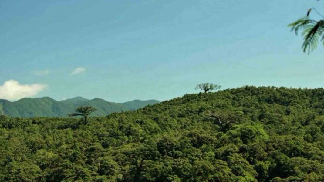 Save Sierra Madre For Food Sustainability Amid Climate Change | PAGEONE