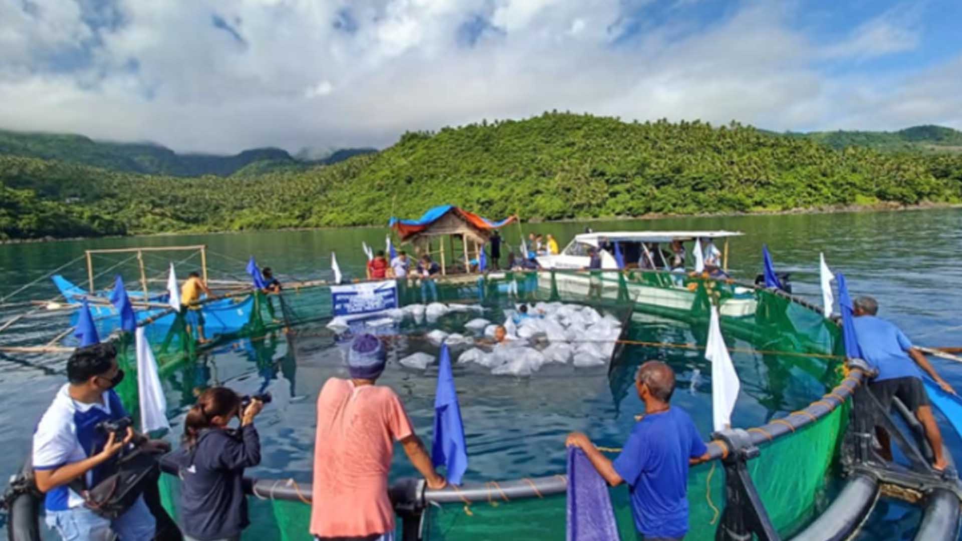House Bill Creating National Mariculture Program Filed | PAGEONE