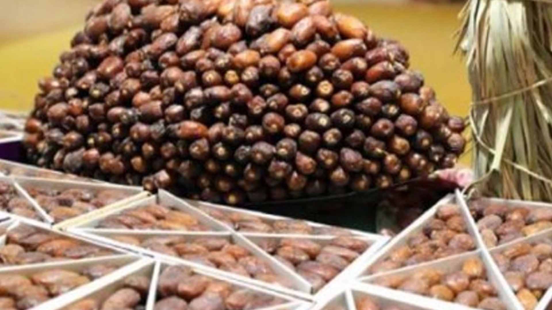 Morocco Aims To Double Dates Production By 2030 | PAGEONE
