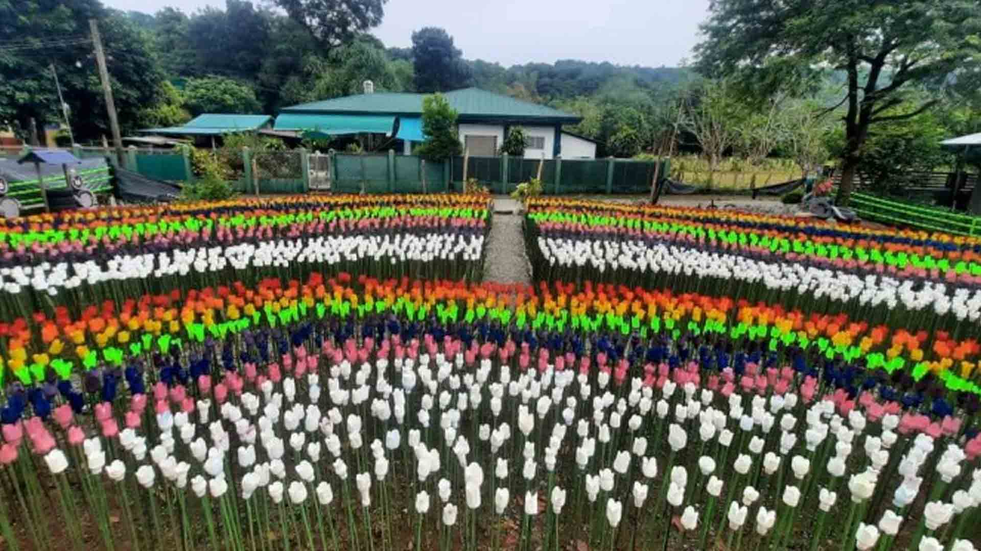 Tulips Made Of Recyclables Attracts Tourists In La Union Village | PAGEONE