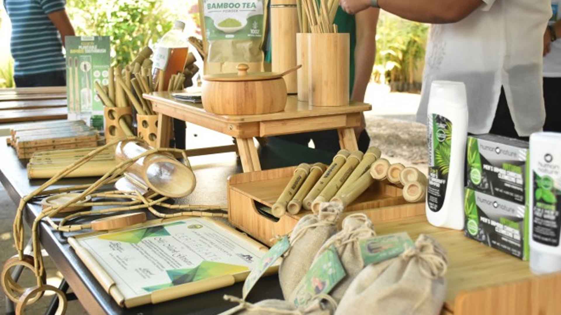 Leyte Promotes Bamboo Production In Response To Global Demand | PAGEONE