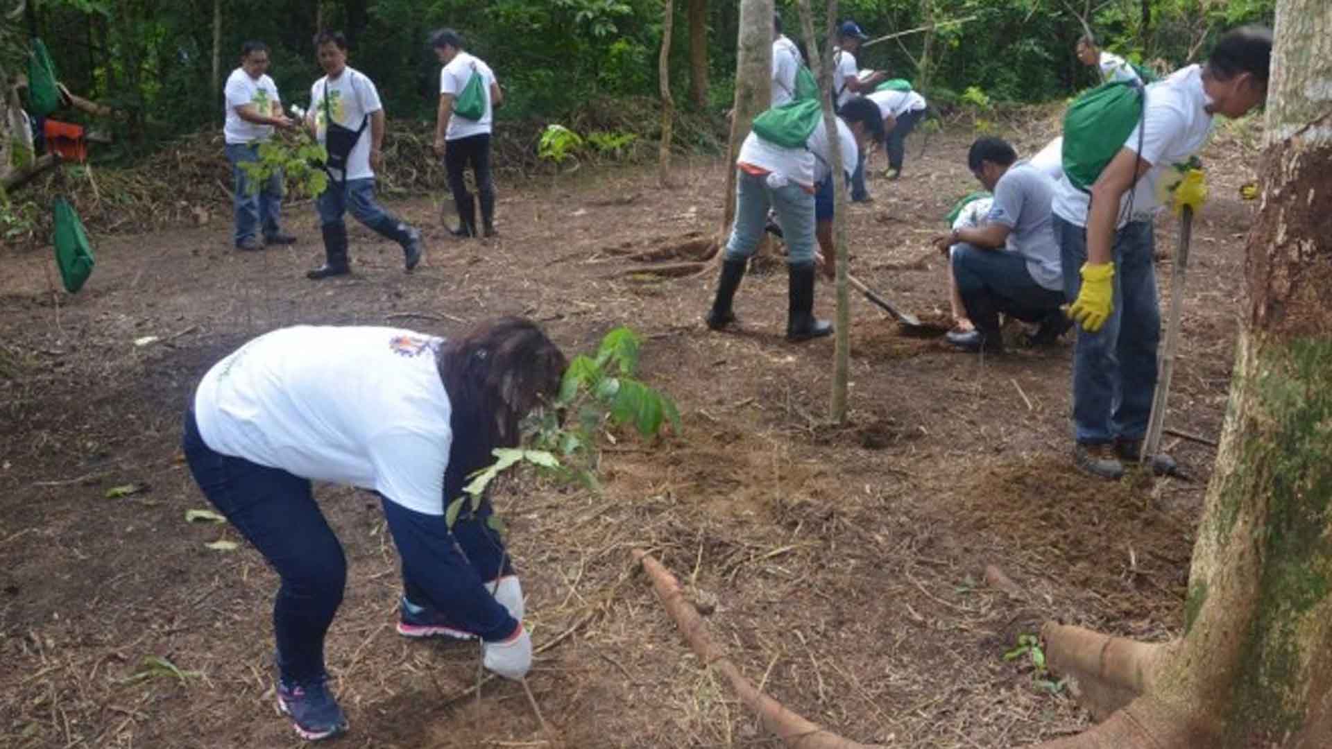 Contractors Of DPWH Flood Control Projects To Plant More Trees | PAGEONE