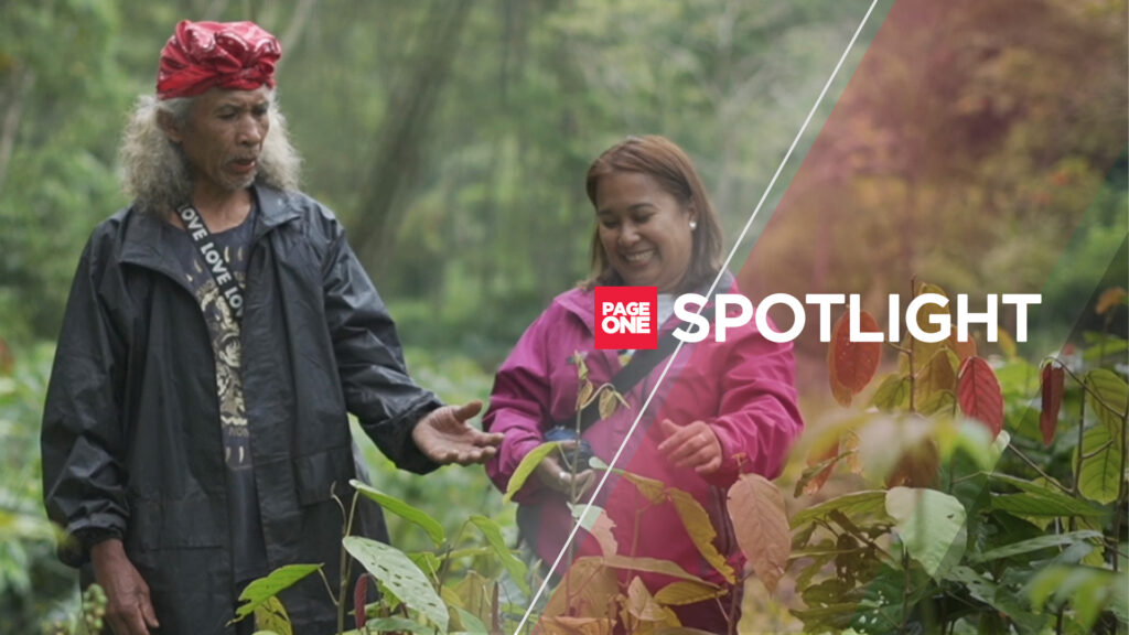 Forest Advocates, Indigenous People Take Spotlight In Video Anthology ...