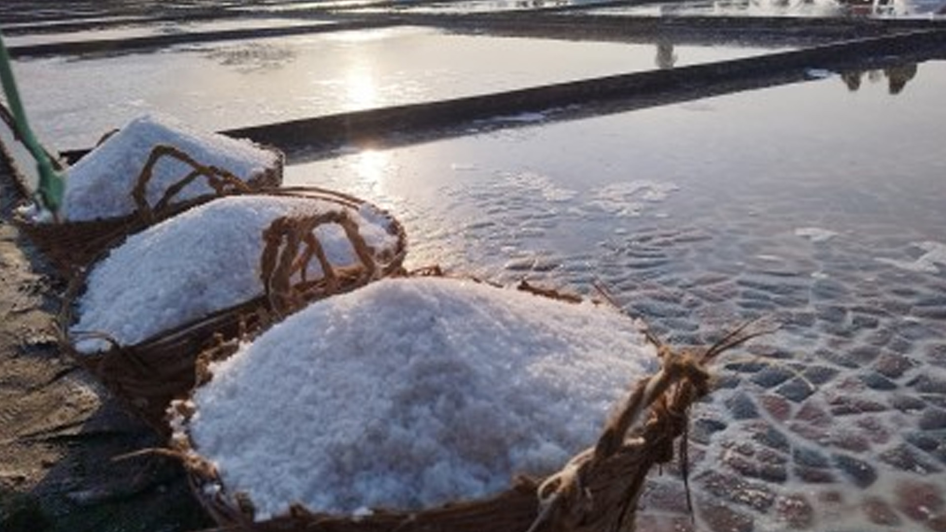 House Passes Salt Industry Development, Agri Info System Bills | PAGEONE