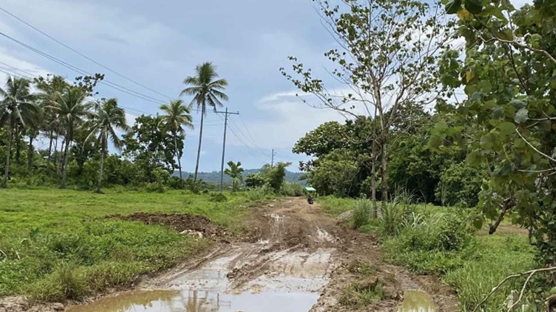 New Eastern Samar Road Seen To Curb Insurgency, Poverty | PAGEONE