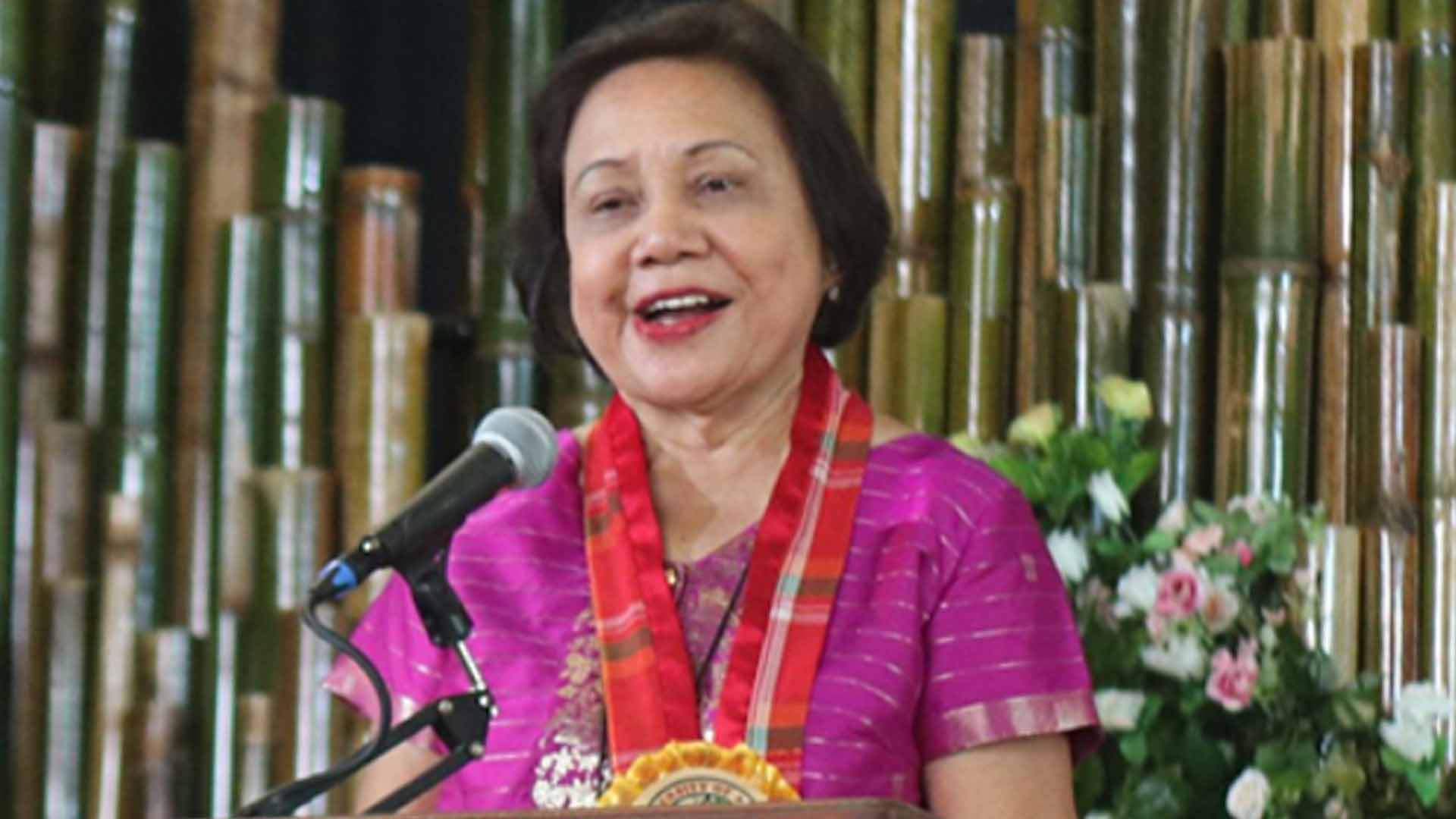 Senator Villar Tells Antique Grads To Be Resilient Like Bamboo | PAGEONE