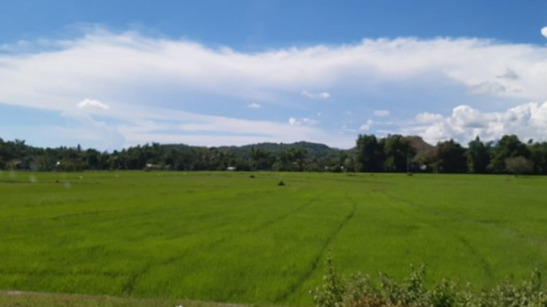 Department Of Agriculture Exec Pushes For Outcome-Oriented Approach In ...