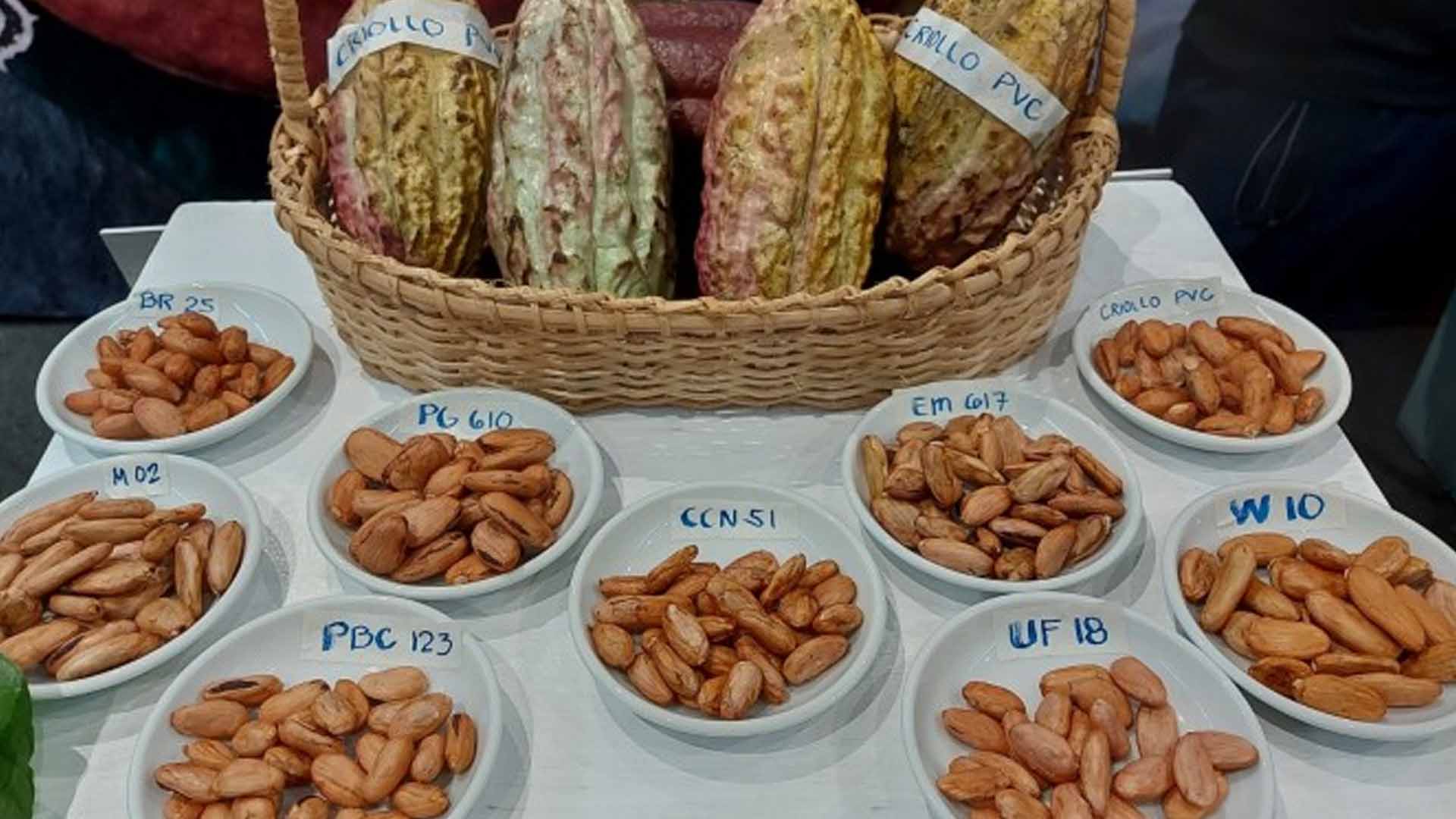 National Cacao Congress Highlights Latest Technology, Innovations | PAGEONE