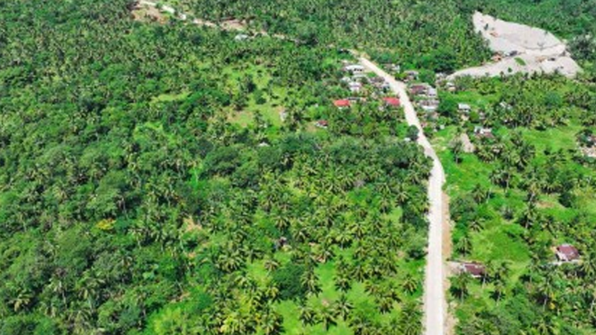 DA Chief: Better Infrastructure To Slash Farm-To-Market Costs | PAGEONE