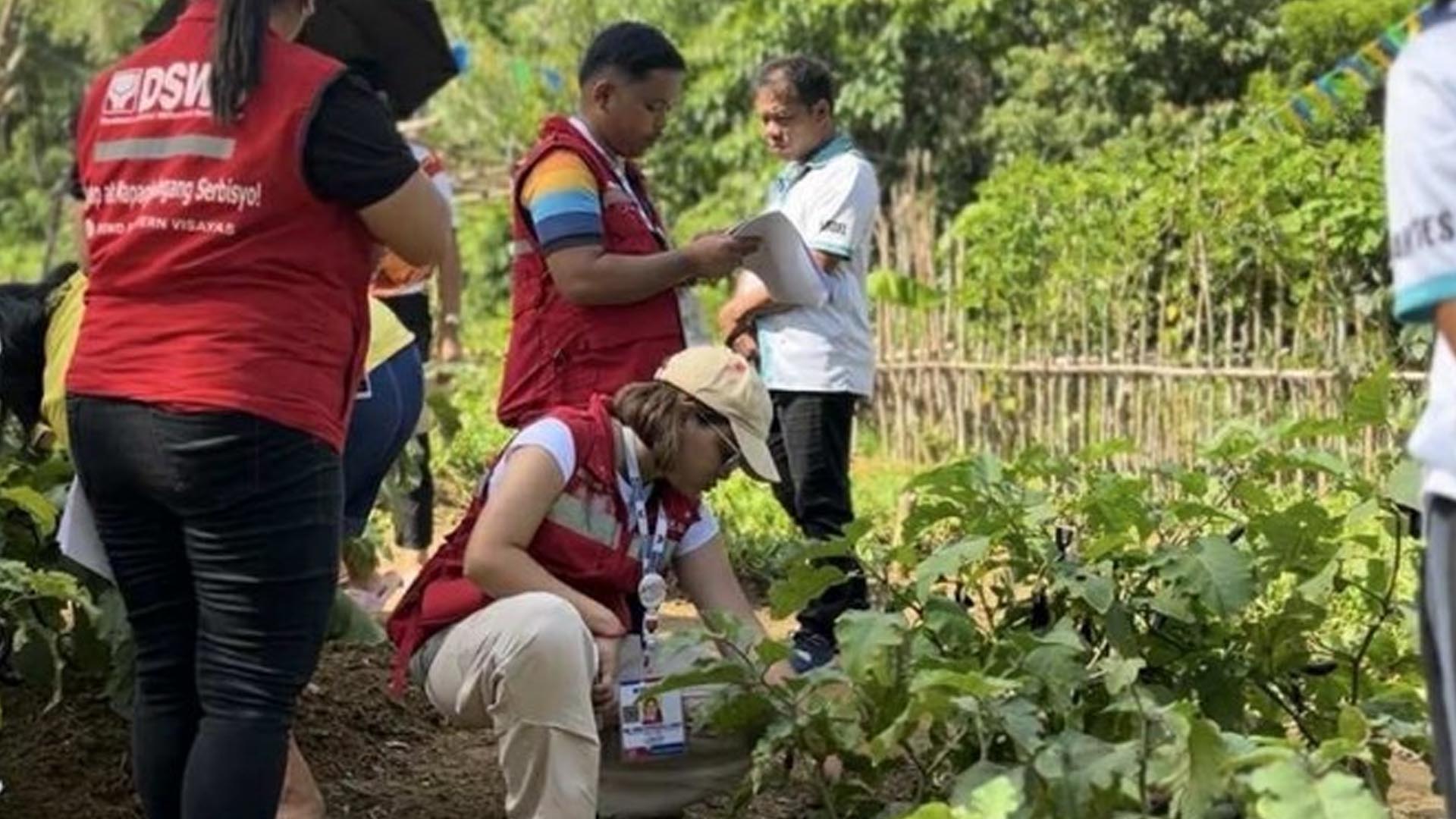 Poor Families In Eastern Visayas Get PHP31 Million Aid Via DSWD Food ...