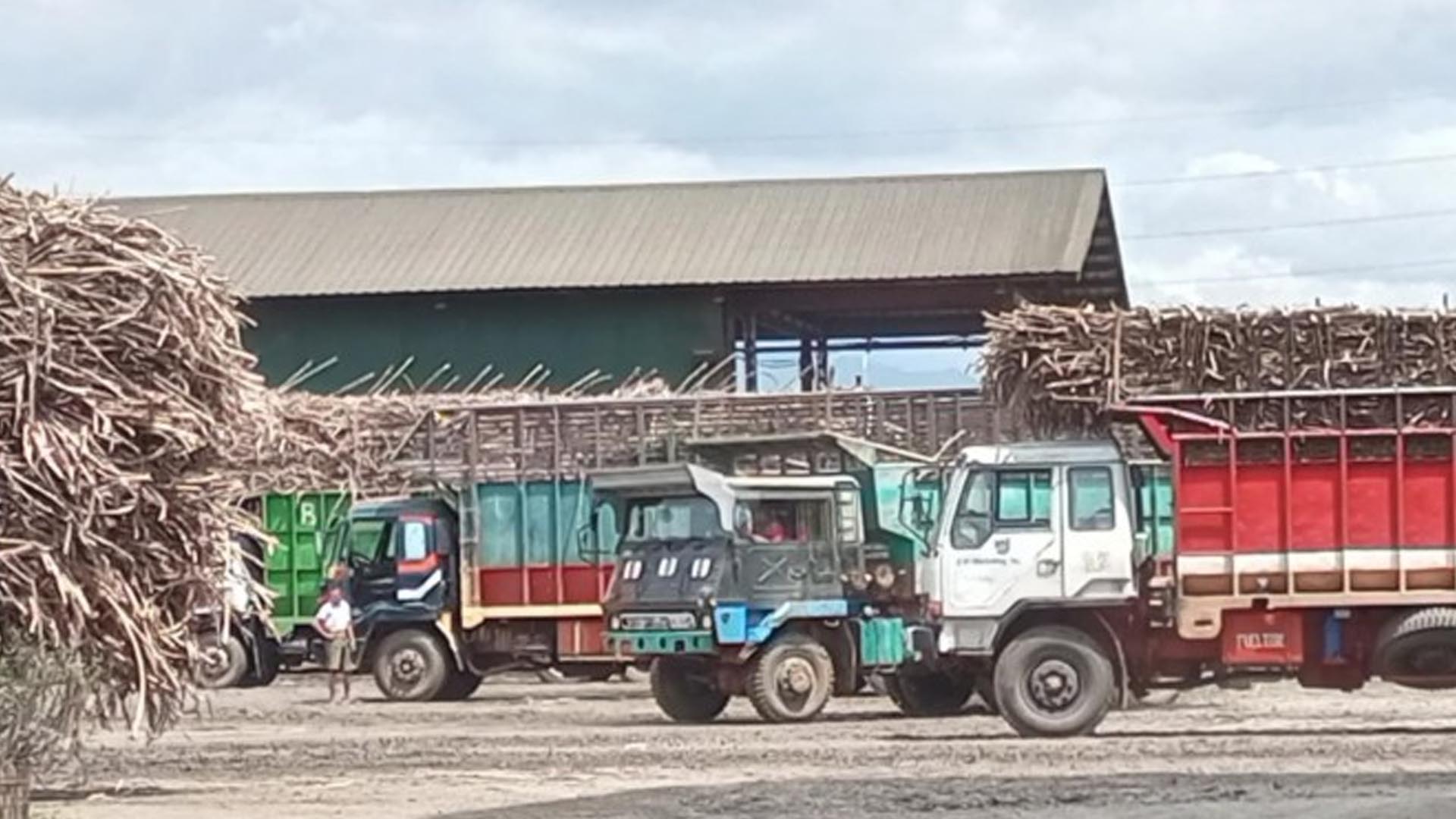 Sugar Milling Season For Crop Year 2025-2026 To Start October 1 | PAGEONE