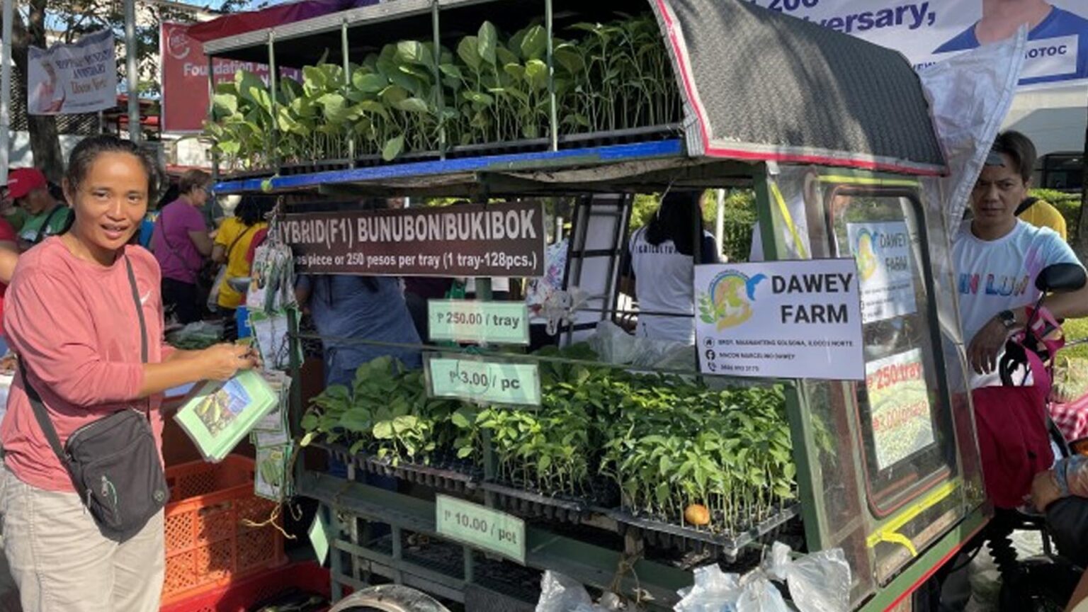 Ilocos Norte Rolls Out Fuel Assistance Program For Farmers | PAGEONE