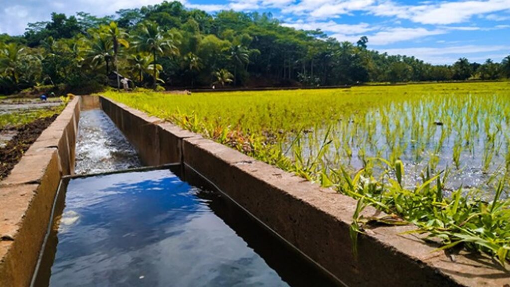 Proposed 2026 NIA Budget To Boost Irrigation Network, Crop Yield | PAGEONE